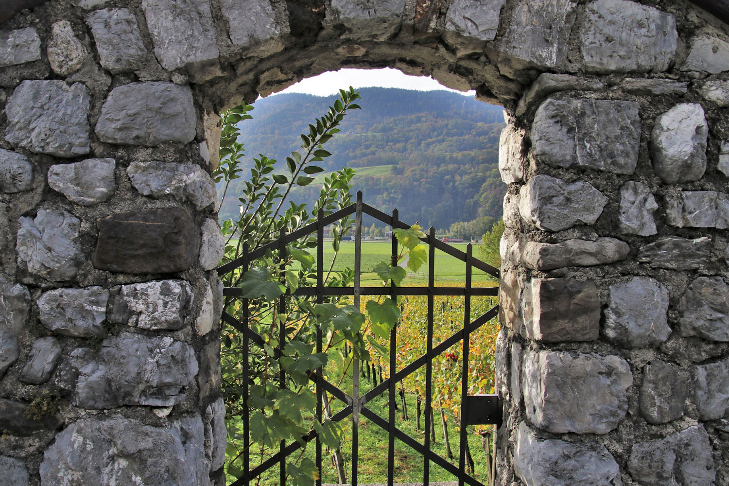 Contact - Spring River Landing