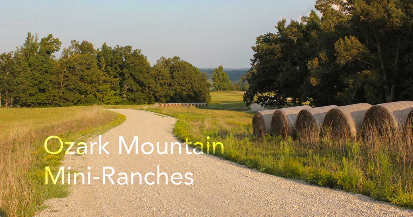 Mini-Ranches - Spring River Landing